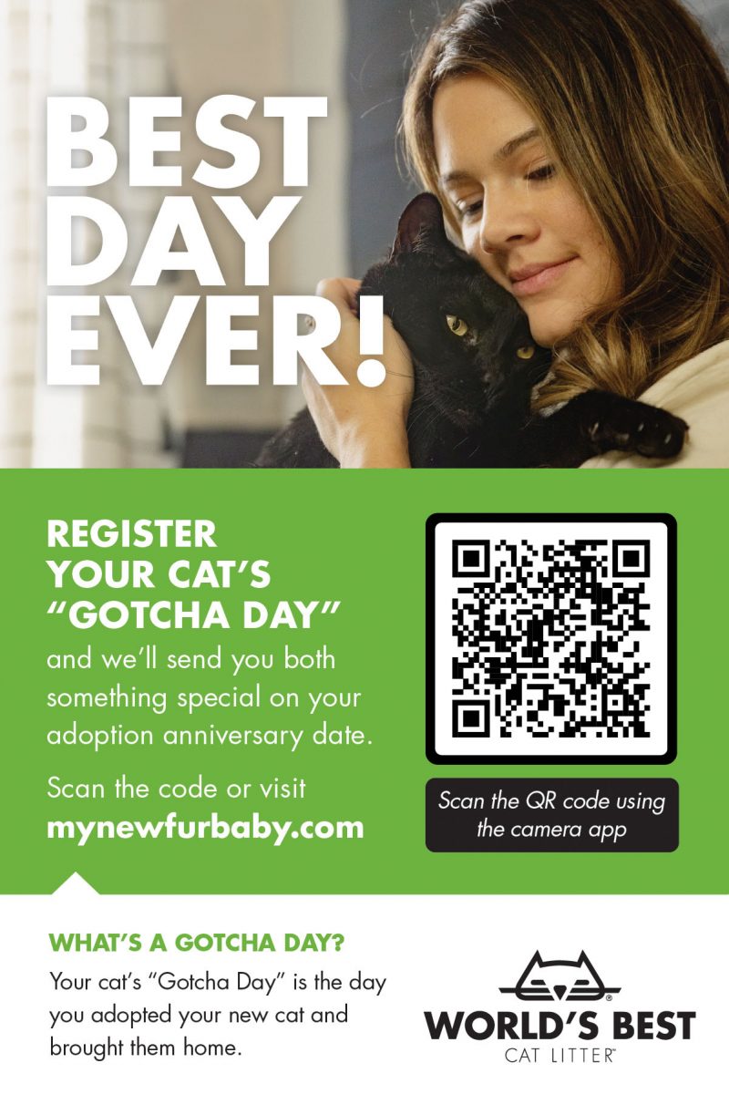 QR Codes: Connecting the Dots from Offline to Online - Tiny Bully